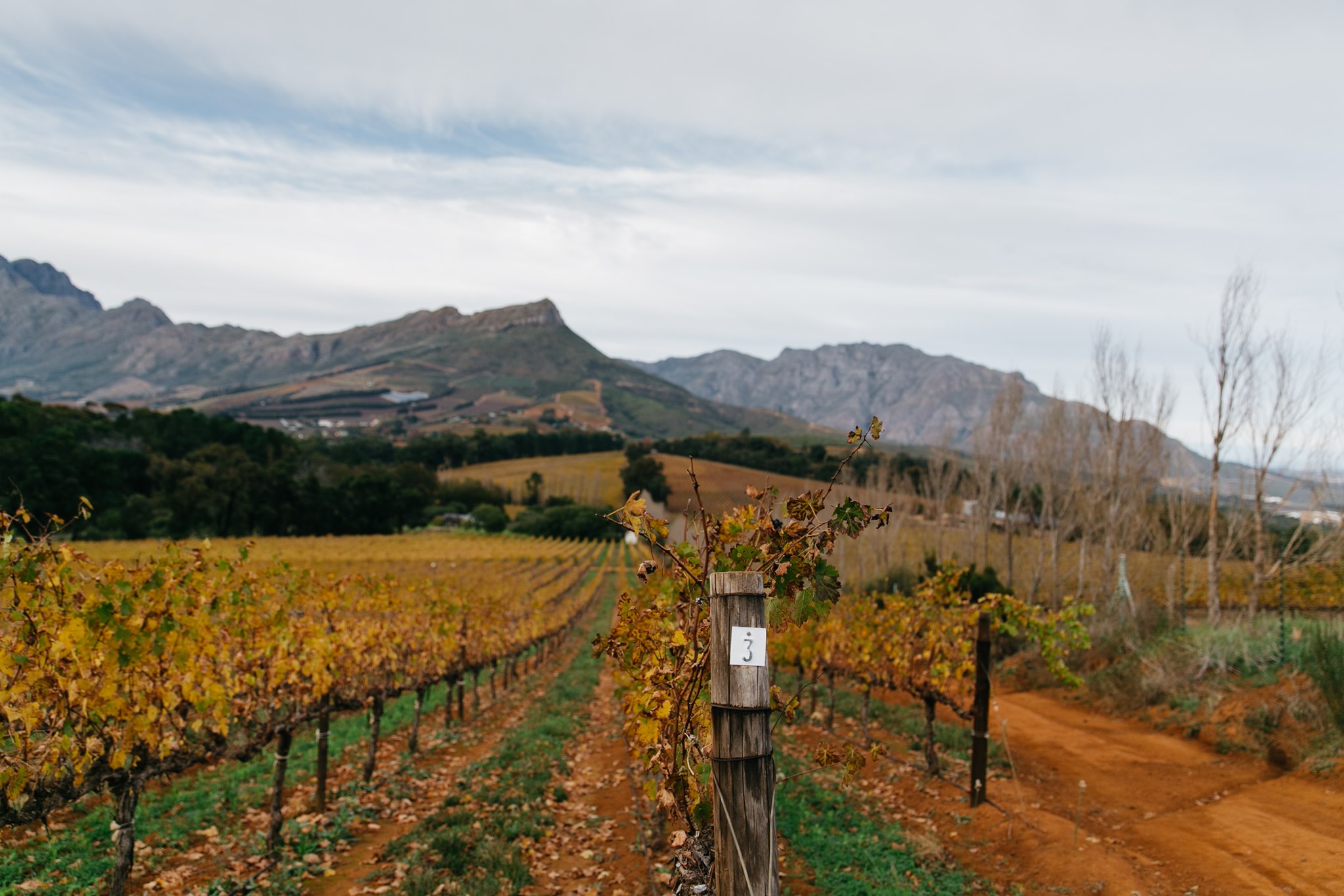 Le Petit Paradis Wijnkoperij/Slijterij Woerden exclusief adres voor al ...